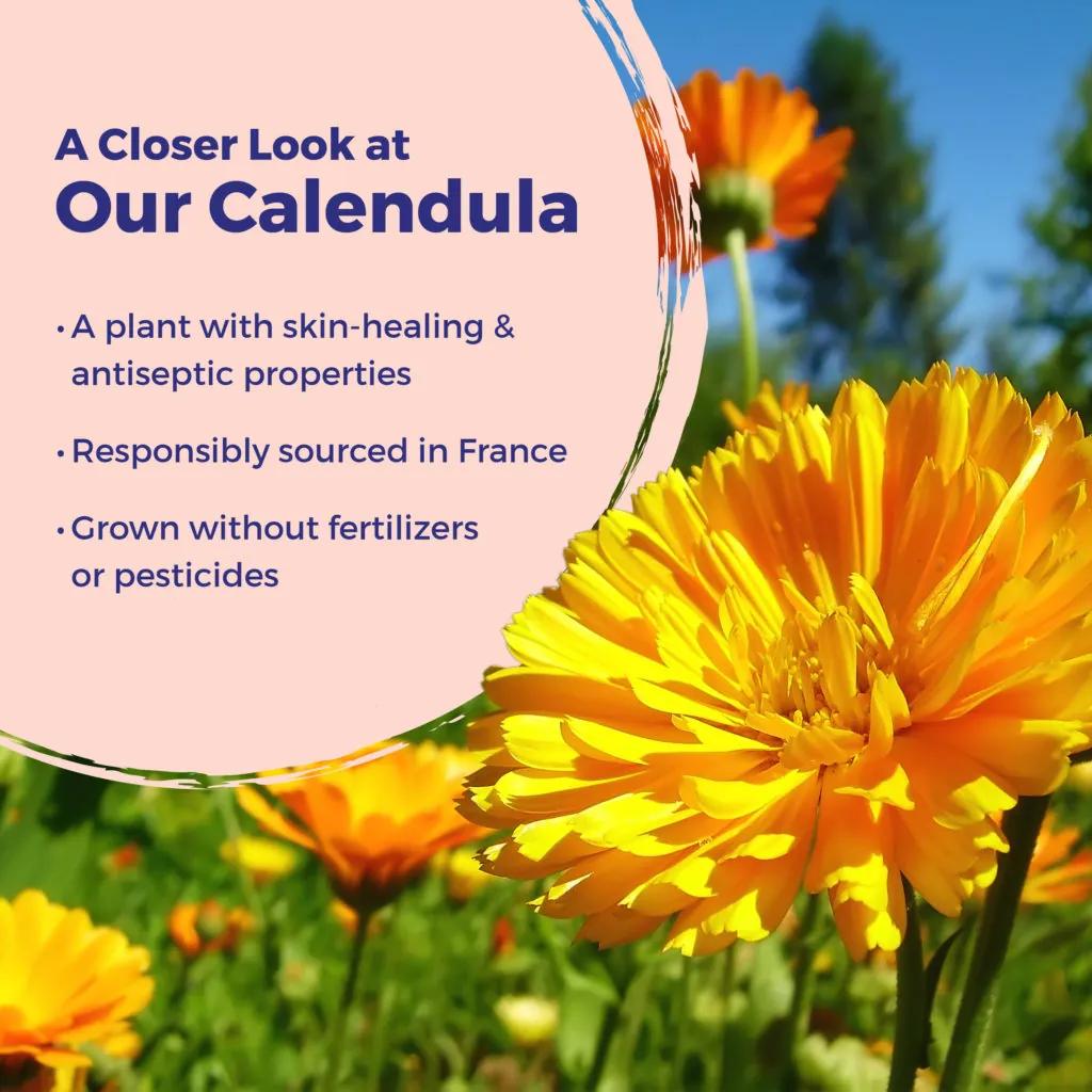 Boiron Calendula Cream for Skin Irritations | Boiron USA