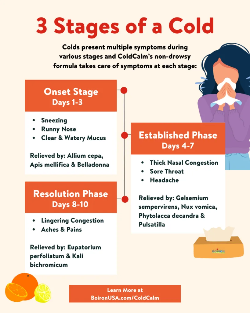 Get to Know the 3 Stages of the Common Cold | Boiron USA